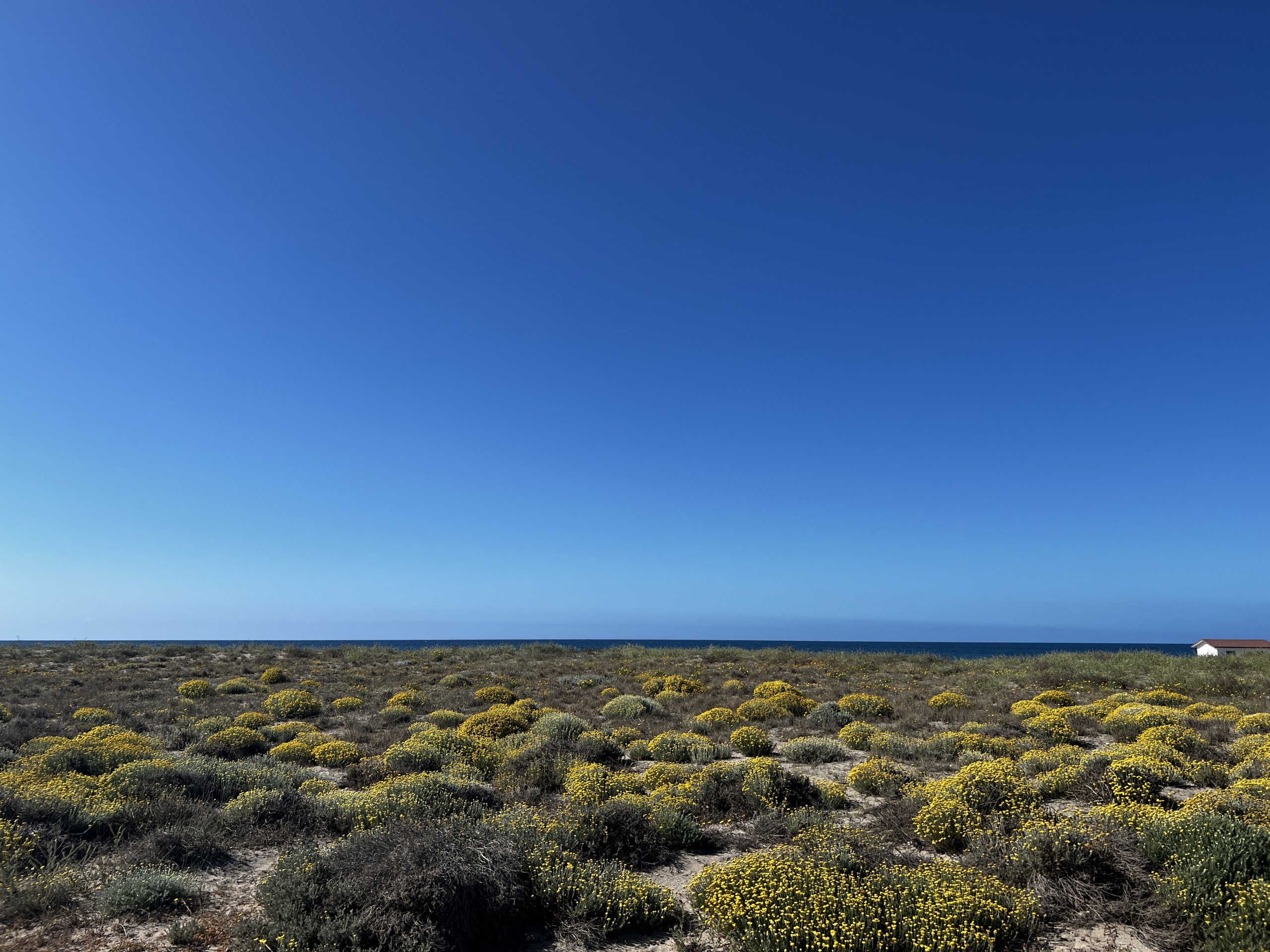 Tranquilidad: My year as an ELA in Almería, Spain – Study Abroad and ...