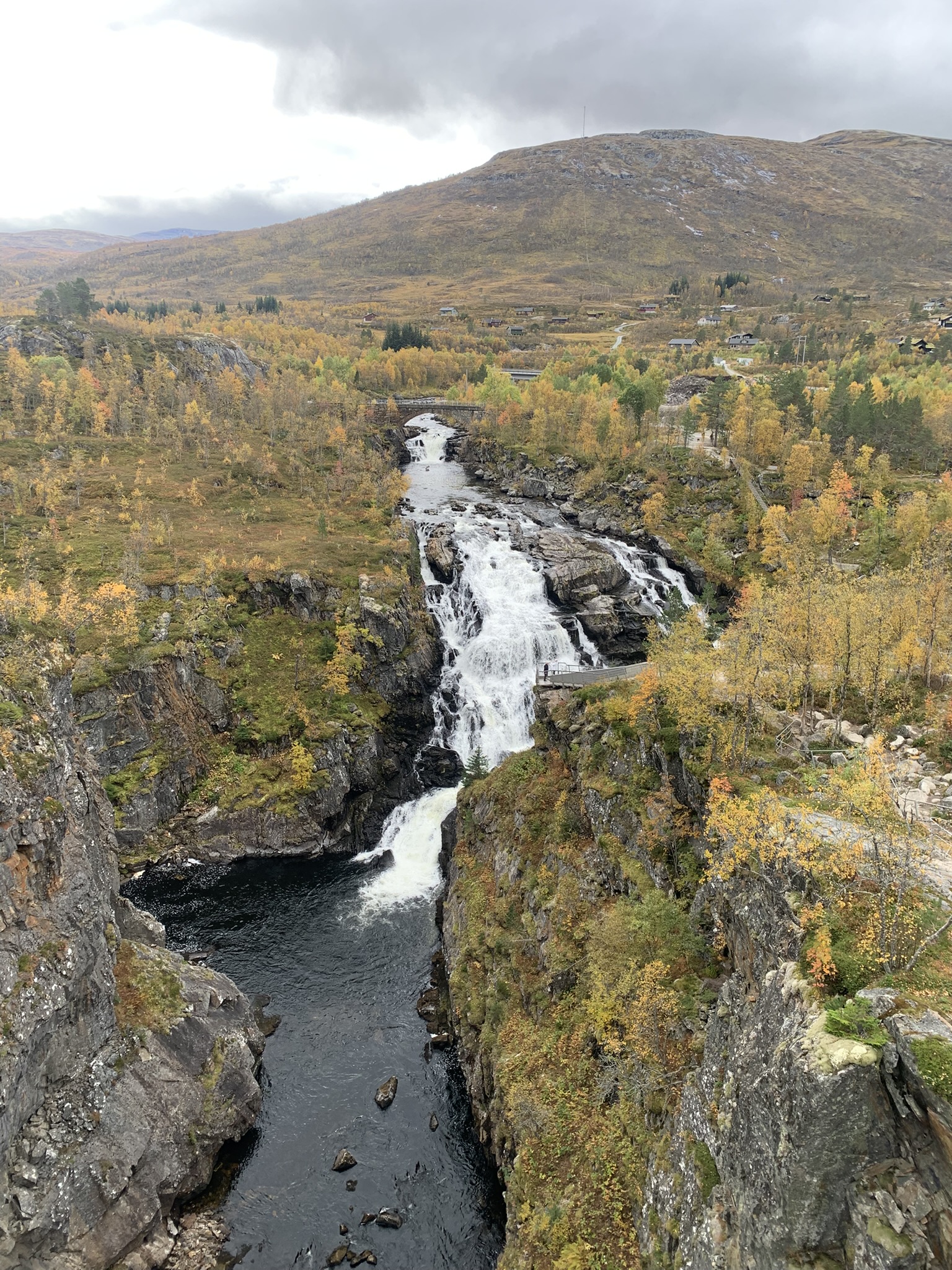 My Time in Bergen, Norway – Study Abroad and Exchange Blog